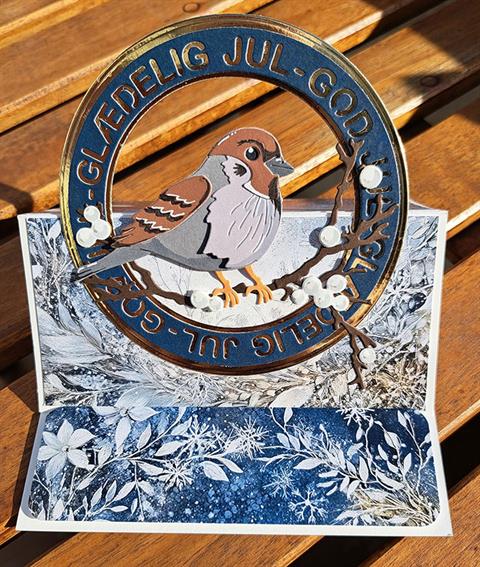 212795 BY Lene Dies "Christmas Robin" BLD1795 – HobbyGros